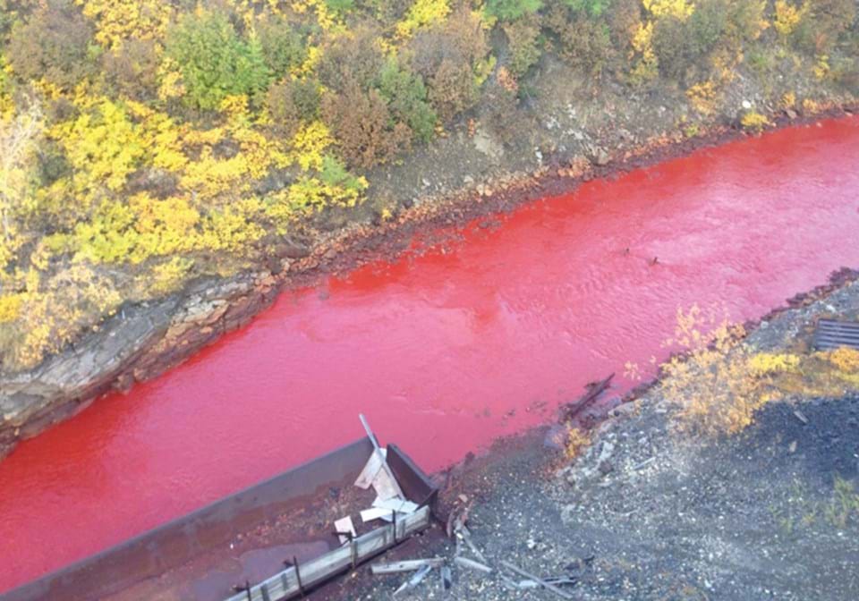 Russian River Runs Red - Features - The Chemical Engineer
