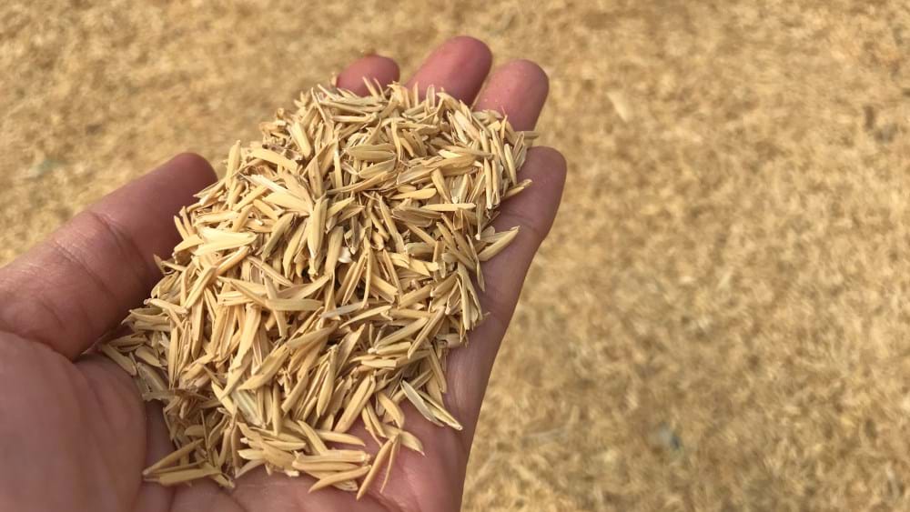 Solvay will use rice husks for greener tyre chemicals - News - The ...