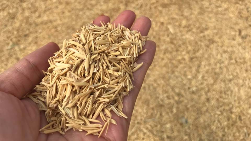 Rice Husk Waste Rice Husk Pellets Rice Hulls | GEMCO Rice Husk
