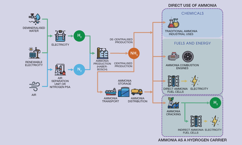 Should Green Ammonia be the Hydrogen Carrier of Today? - Features - The ...