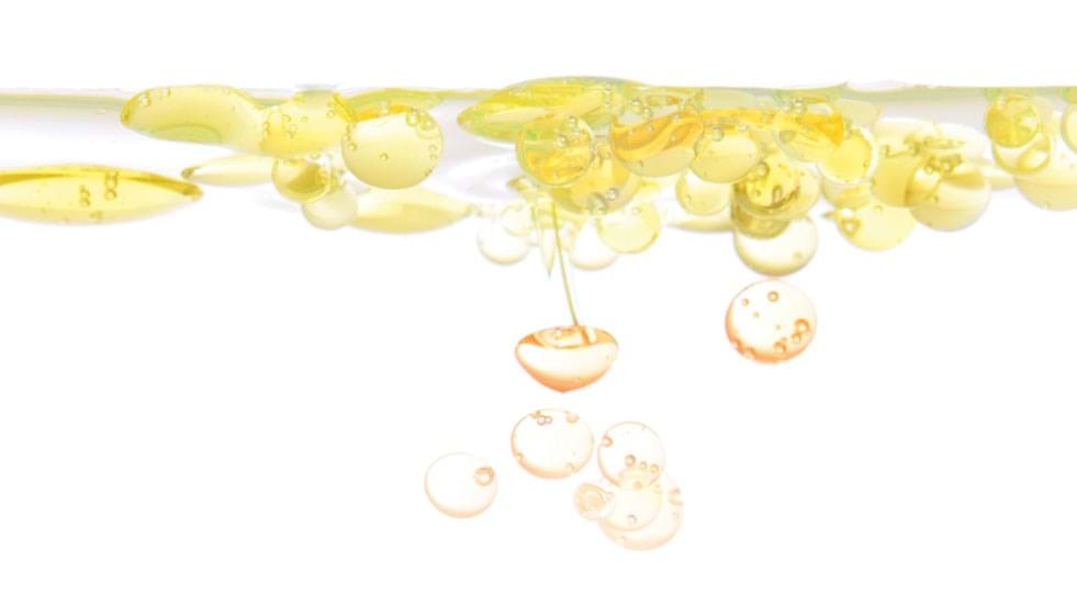 Oil Change: Using Microbes to Produce Edible Oils - Features - The ...