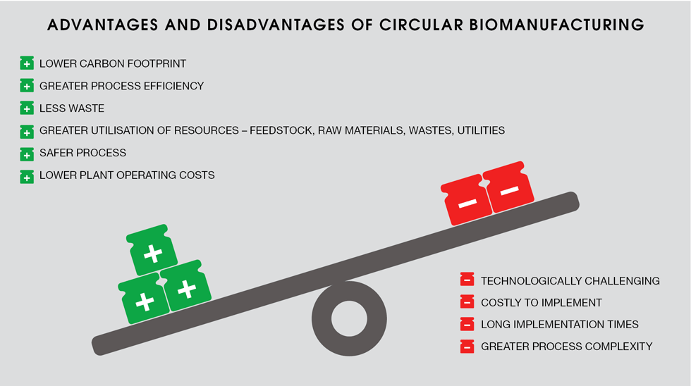 Designing a Biomanufacturing Process to be Circular - Features - The ...