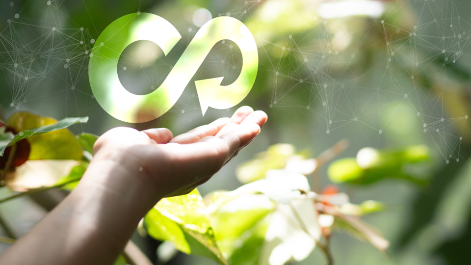 Designing A Biomanufacturing Process To Be Circular Features The Chemical Engineer