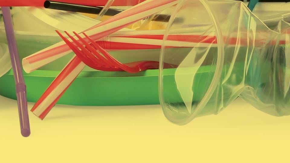 Plastics: Biodegradable, Bio-based, or Compostable? - Features - The ...