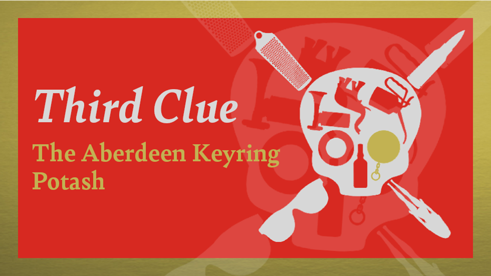 Phosphate Rocks Chapter 12: Potash - Features - The Chemical Engineer