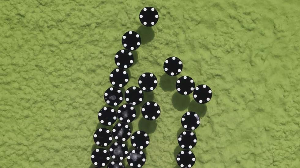 Fake lily pads could be second Sun for lithium manufacturers - News ...