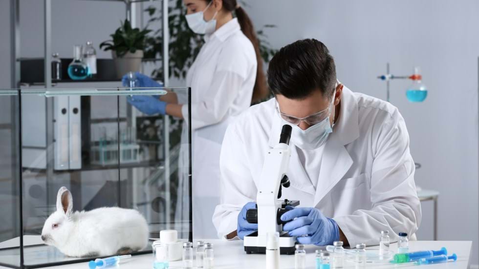 UK commits £75m to phasing out animal testing - News - The Chemical ...